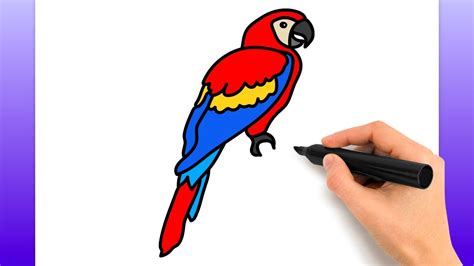 Como Dibujar Una Guacamaya En Caricatura Dibujo Infantil Dibujos Porn