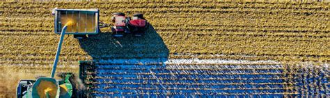 Agricultura ecológica ventajas y desventajas principales