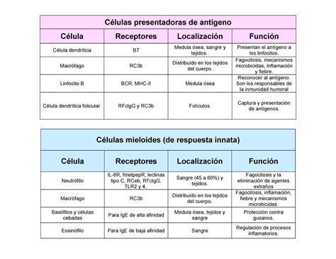 Cuadro Resumen Celulas Presentadoras De Anticuerpo Inmunologia IPN