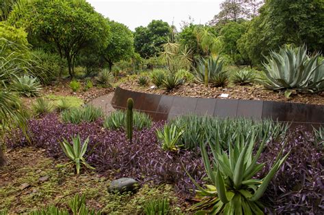 Descubre en Jardín Botánico Culiacán el patrimonio biocultural de las