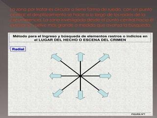 Pasos en el análisis de la escena del crimen PPT