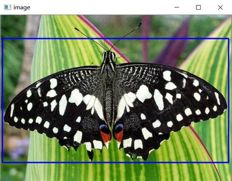 opencv4学习笔记（56）——grabcut图像分割算法 码农家园