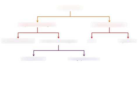 The Nervous System Diagram Quizlet