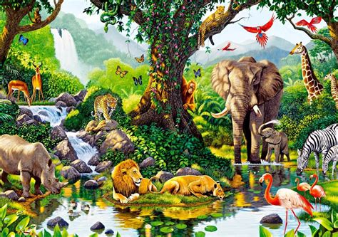 Clasificación de seres vivos Características funciones y evolución