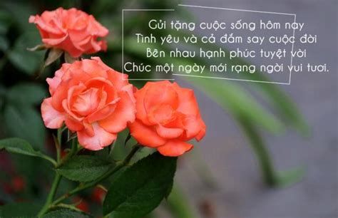 Ảnh Chúc Ngày Mới Tốt Lành 194 Ảnh Đẹp Chào Buổi Sáng