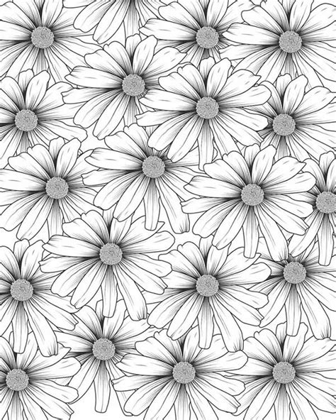 45 Desenhos De Margaridas Para Imprimir E Colorir
