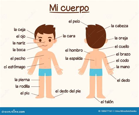 Body Parts In Spanish Worksheet