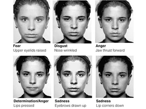 Lie To Me Micro Expressions My Wonderland