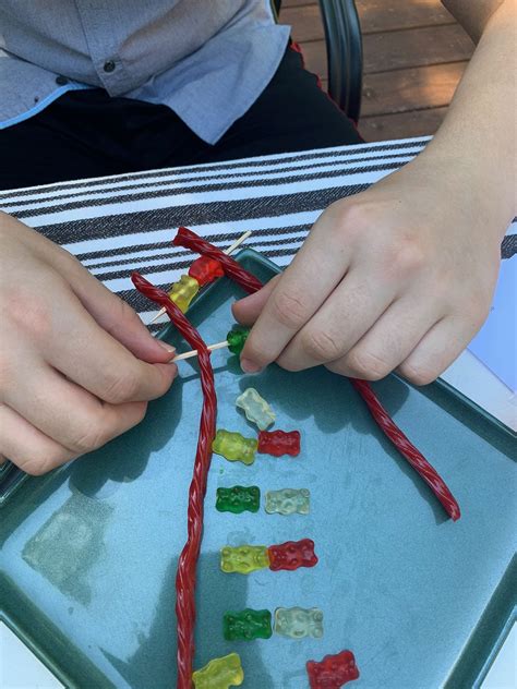 Finding Your Roots Intro To DNA And Making A Twizzler DNA Model Activity