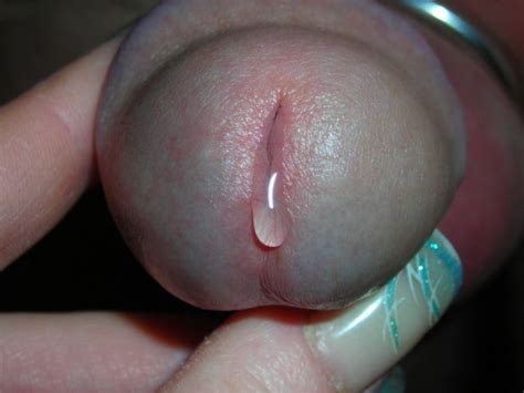Licking Uncut Cock Cum Hole XXGASM