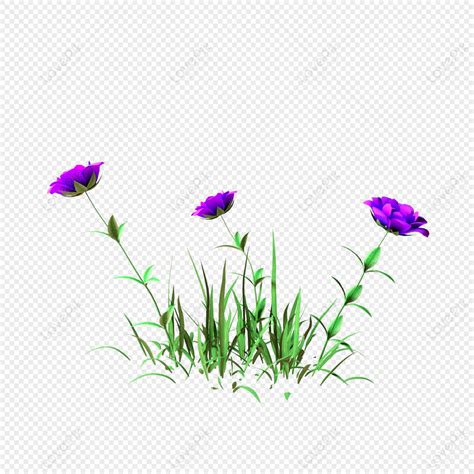 Purple Flowers Green Grass Bushes And Flowers Flower Grass Flowers