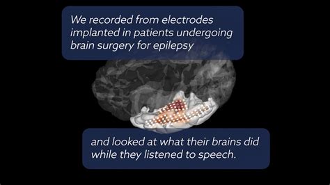 parallel and distributed encoding of speech across human auditory cortex youtube