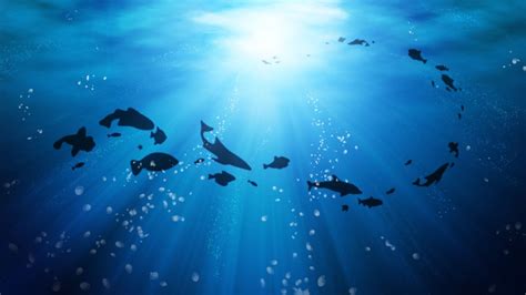 Deep Ocean Wallpapers Wallpaper Cave Riset