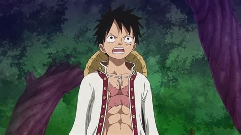 Image Gallery Of One Piece Episode Fancaps
