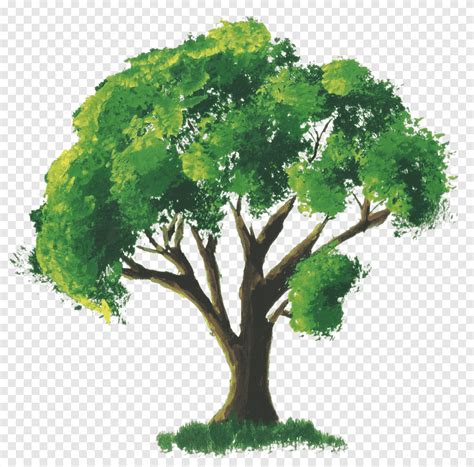 Compartir 87 dibujo acuarela arboles última camera edu vn