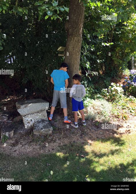 Ragazzi Peeing Contro Un Albero In Un Parco Foto Stock Alamy