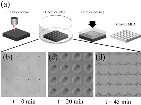 fabrication process of the rectangular shaped microlens array a download scientific diagram