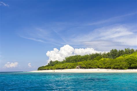 Bali To Gili Meno Fast Boat Schedule Prices Tickets Bali Ferries