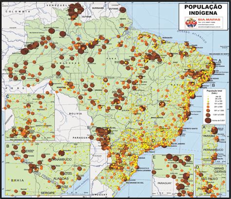 Brasil População Indígena Bia Mapas