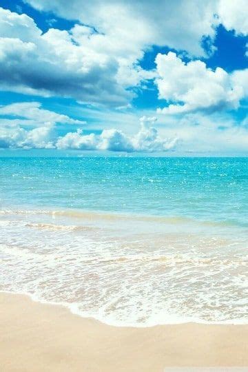El Top 48 Fondo De Playa Abzlocal Mx