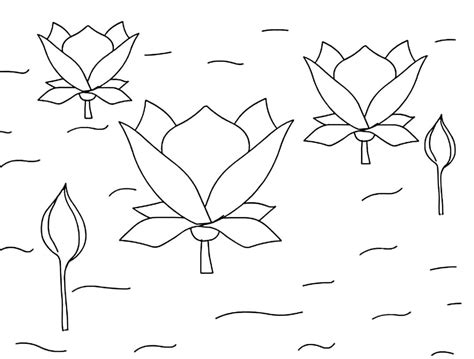 Dibujos De Flor De Loto 11 Para Colorear Para Colorear Pintar E