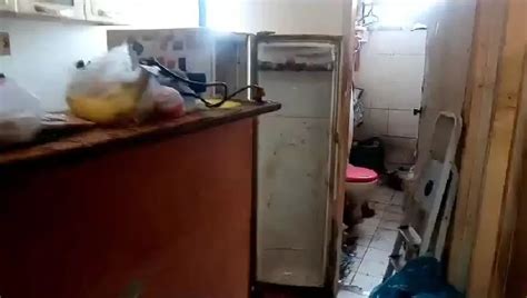 Mulher é presa após esconder corpo em geladeira por sete anos