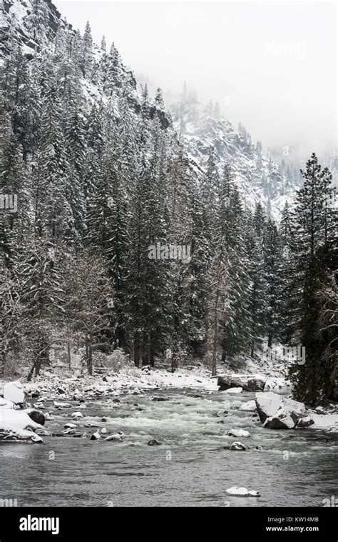 The Wenatchee River In Winter Wenatchee National Forest Washington
