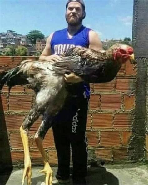 Want To See My Giant Cock Gag