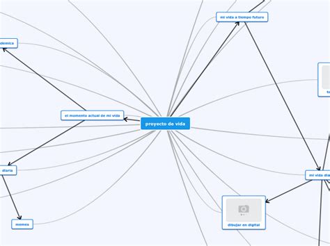 Proyecto De Vida Mind Map
