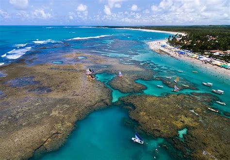 Melhores praias de Recife e arredores conheça as TOP 10 praias imperdíveis