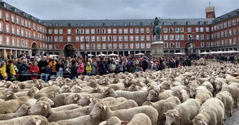 La Unesco declara la trashumancia y la técnica del vidrio soplado