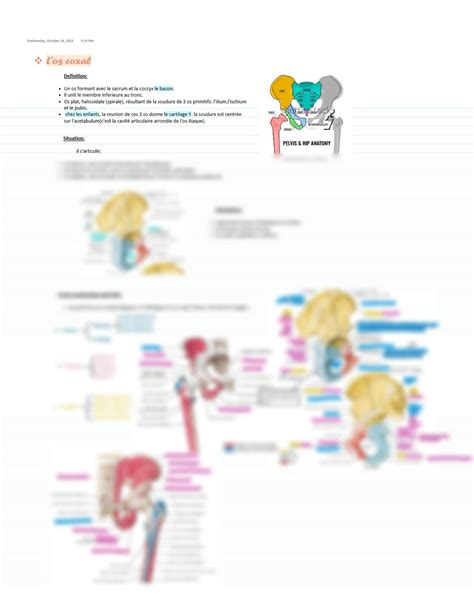 SOLUTION Resumé de l os coxal anatomie du membre inferieur Studypool
