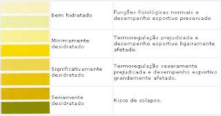 A SUA NUTRICIONISTA Vamos Analisar A Cor Da Sua Urina