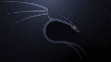 Kali Linux Wallpapers Wallpaper Cave
