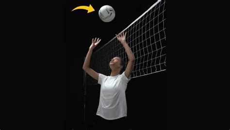 Tudo Sobre Voleibol história regras e fundamentos Dicas Educação