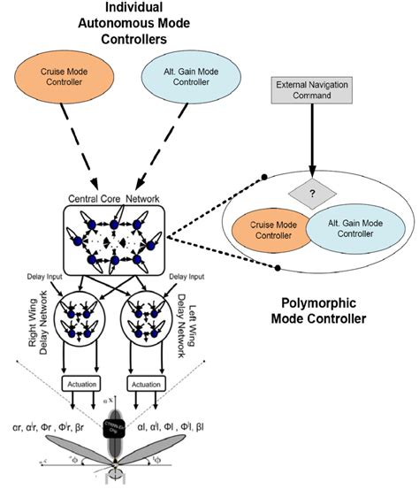 5 pictorial representation of the polymorphic experiments designed to download scientific