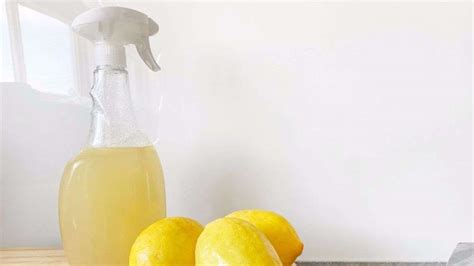 Comment Bien Nettoyer Son Frigo Voici 6 Astuces Simples Et Efficaces