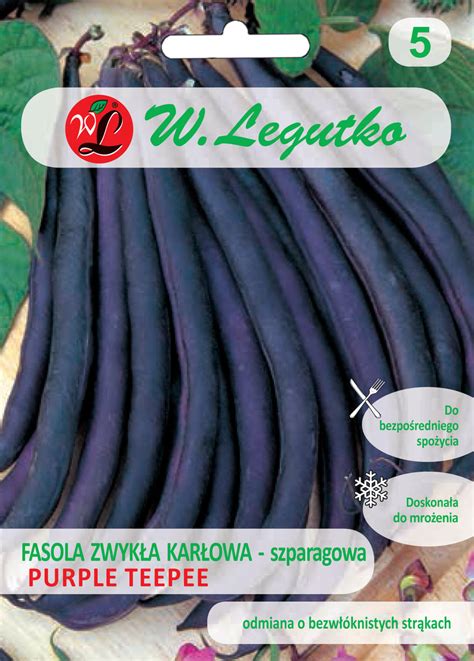 Nasiona Fasola Szparagowa Karłowa Purple Fioletowa LEGUTKO Sklep