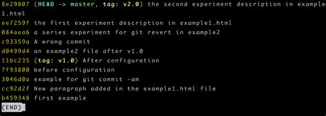 Git Commit It It