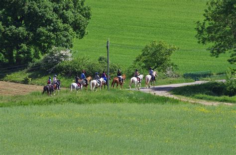 The most beautiful horse rides in Parc naturel régional des Baronnies