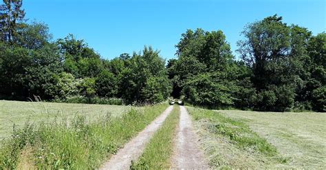 Rhön Rundweg 3 Oberelsbach Rhön BERGFEX Escursionismo Tour Baviera