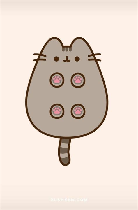 Pusheen Gatos Y Perros Divertidos Gatitos Esponjosos Fotos Del Oso