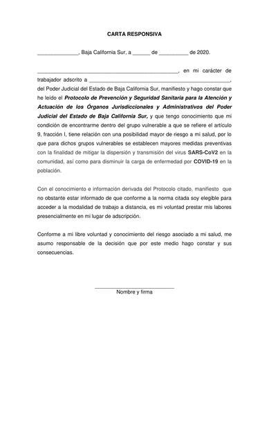 Resúmenes de Carta responsiva laboral Descarga apuntes de Carta