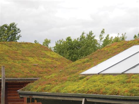 The Benefits Of Green Roofs On Residential Buildings Builder Boy
