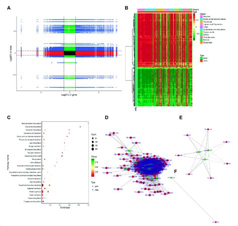 Conjoint Analysis Of Transcriptome And Metabolome A Nine Quadrant