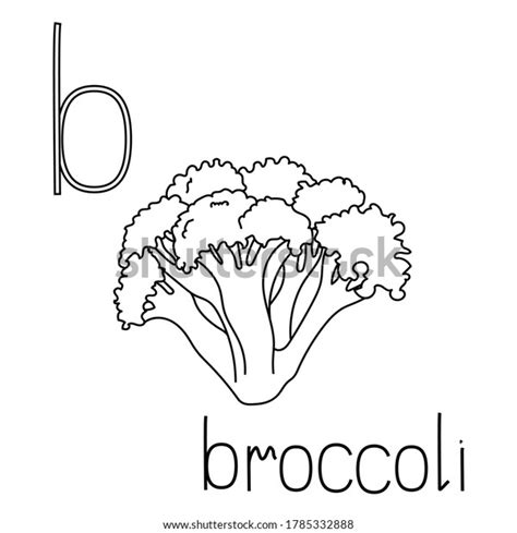 Broccoli Colouring Page Over 882 Royalty Free Licensable Stock Vectors