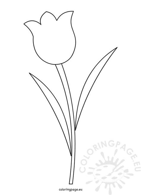 Tulip Flower Template Printable Coloring Page