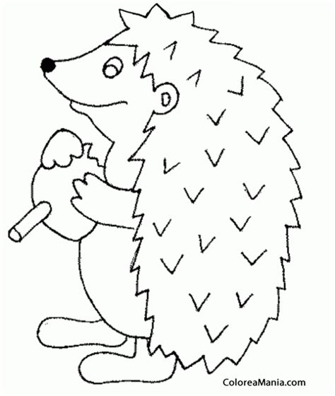 Compartir Dibujos Para Colorear Erizo Mejor Camera Edu Vn