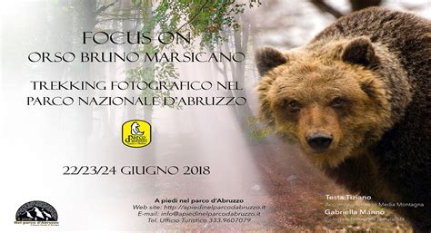TREKKING FOTOGRAFICO FOCUS ON ORSO BRUNO MARSICANO Escursionismo It
