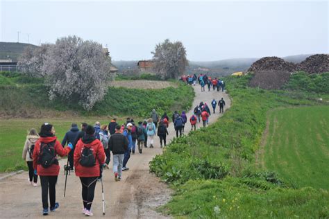 Anchuelo dedica la novena ruta del Camino de Cervantes a la donación de